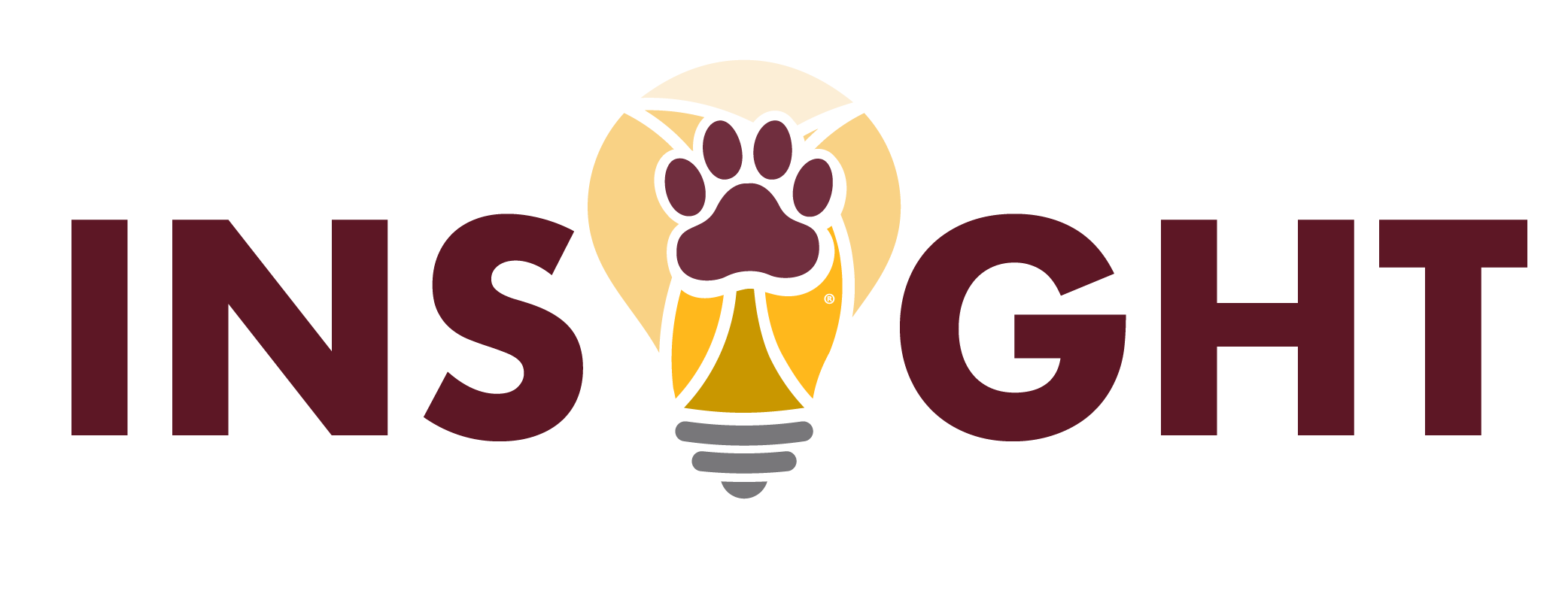 Online Insight Program | Mississippi State Online